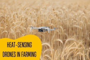 How Drones Use Heat Sensors to Detect Hidden Problems